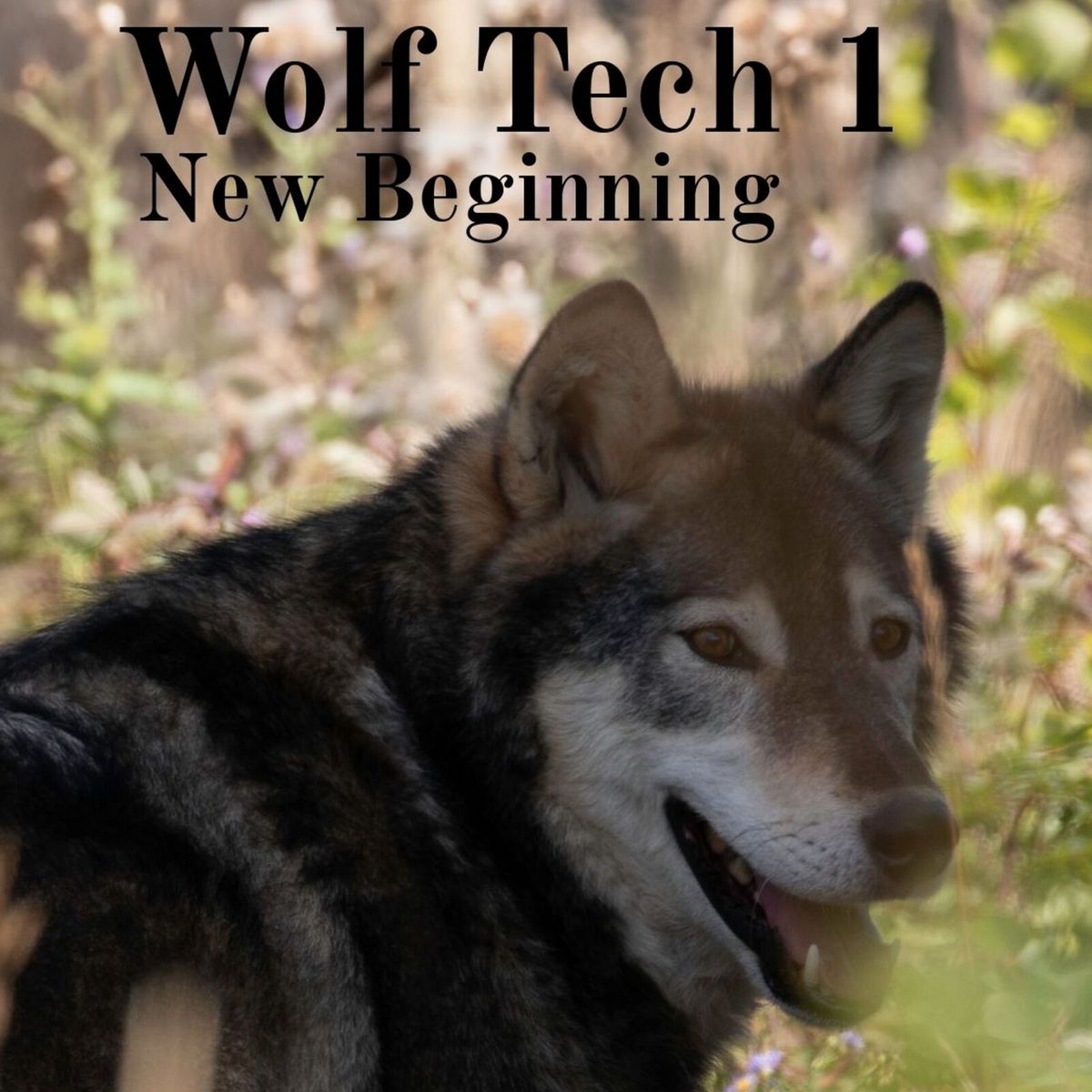 Wolf Tech 1: New Beginning (eBook) - Buymeacoffee