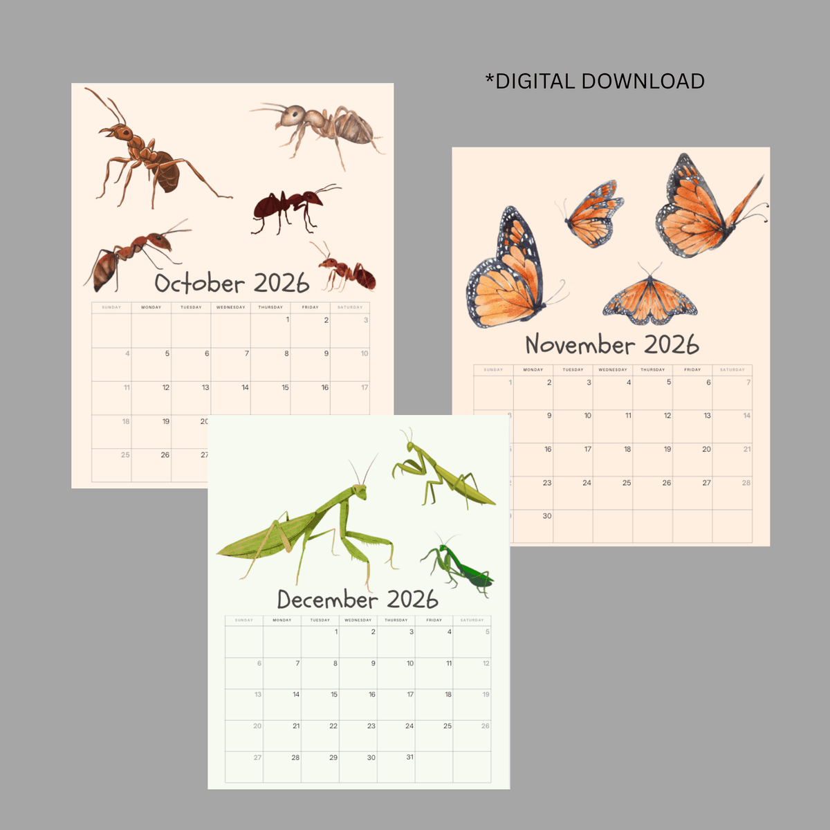 2026 Nature-inspired printable Calendar (12 Month) PDF - Buymeacoffee