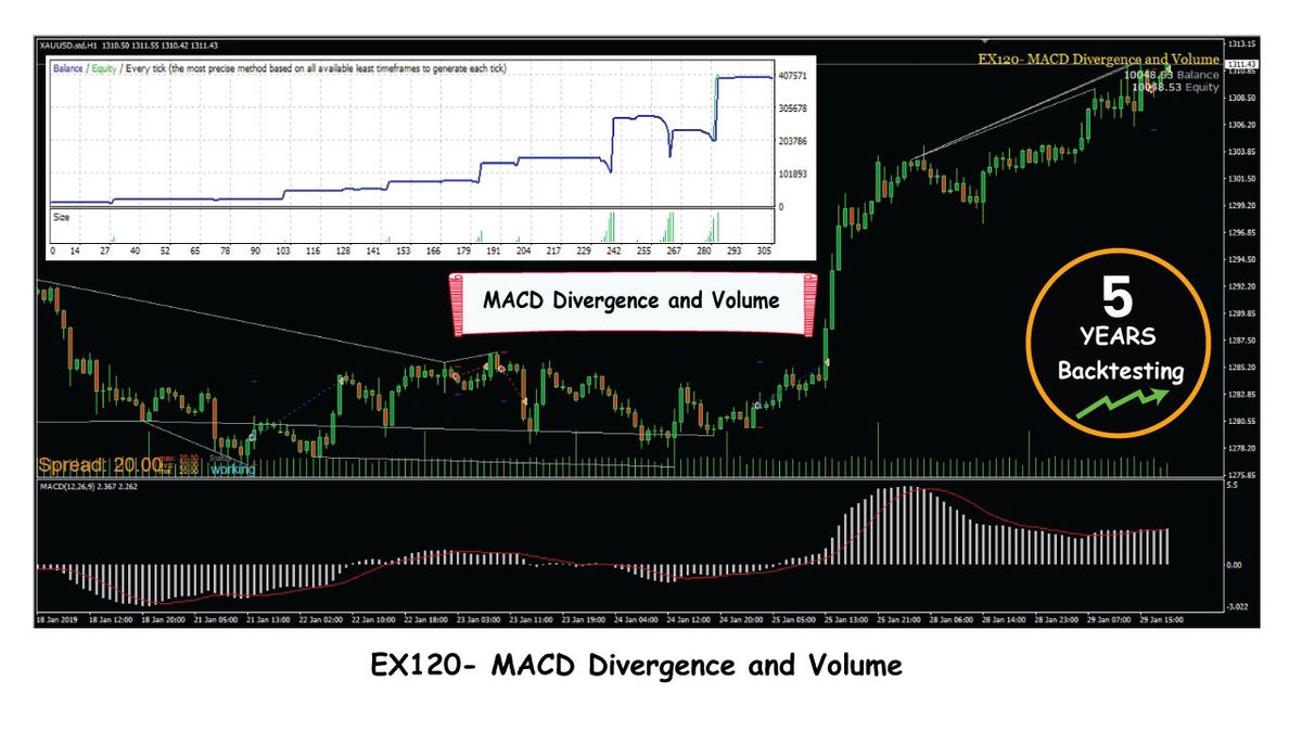 EX120- MACD Divergence and Volume - Buymeacoffee